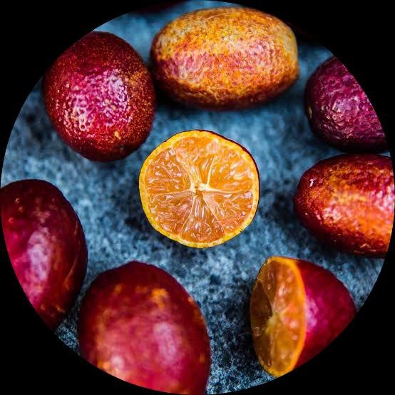Buy Australian Blood Lemon Seeds – Tangy Red-Fleshed Citrus